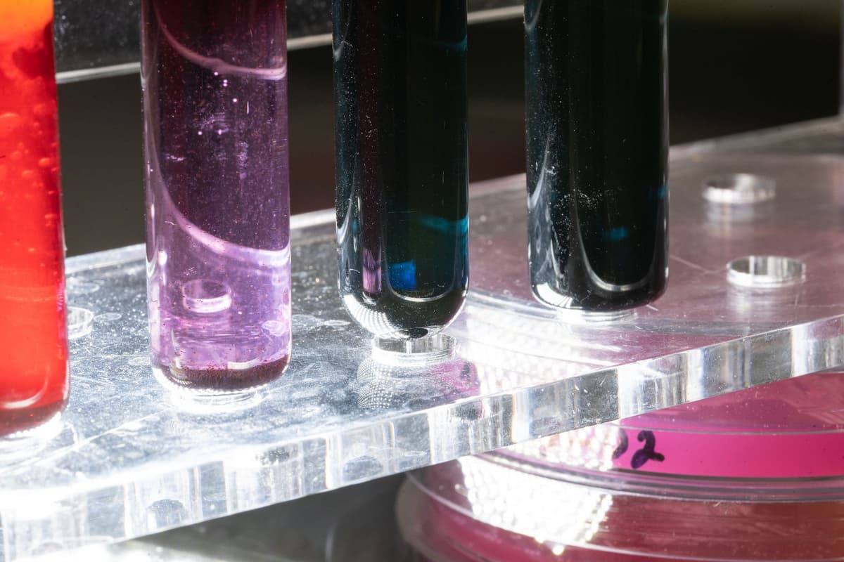 Biochemistry - Vilnius university